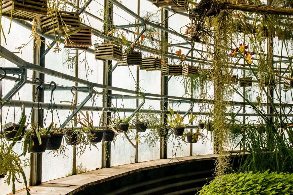 Kruidtuin van Leuven: ideaal voor een rustige wandeling, weg van de stad!