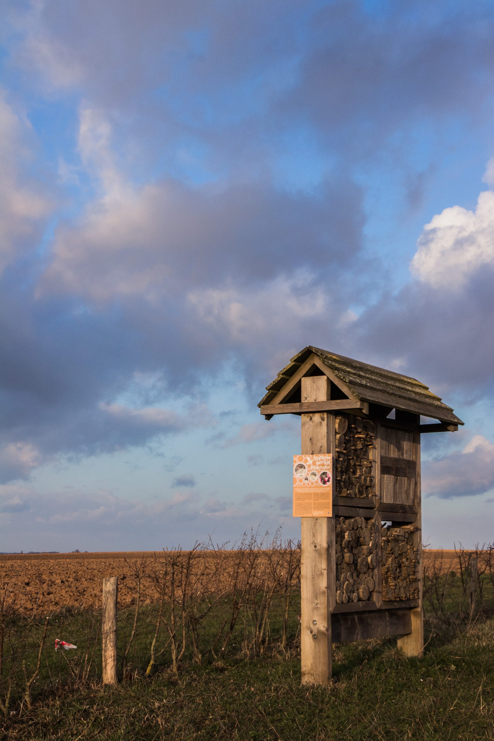 Beelden van de Gallo-Romeinse Tumuli in Gingelom | Solivagant